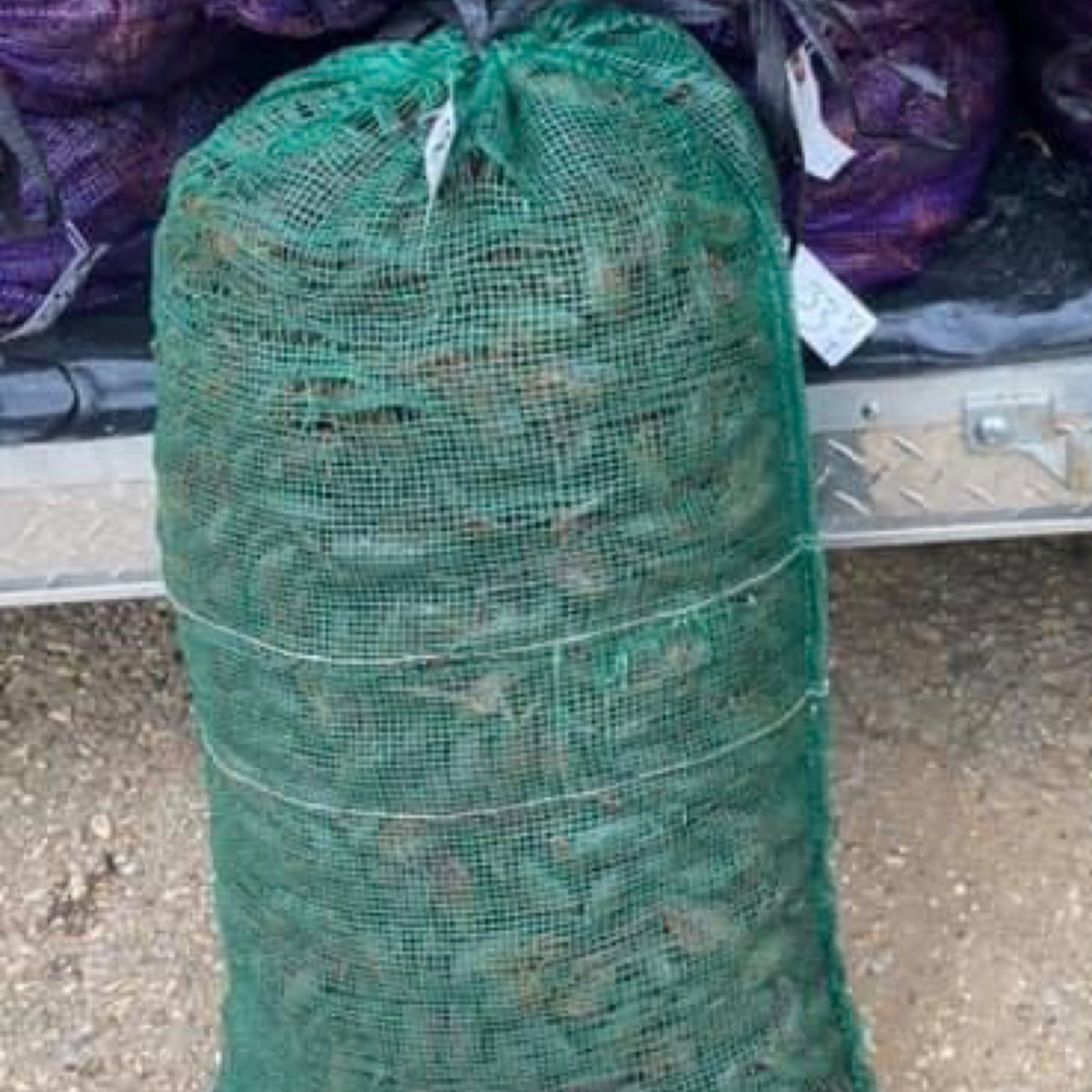 Live Crawfish Small/Mix Sack | Parish Seafood Supply